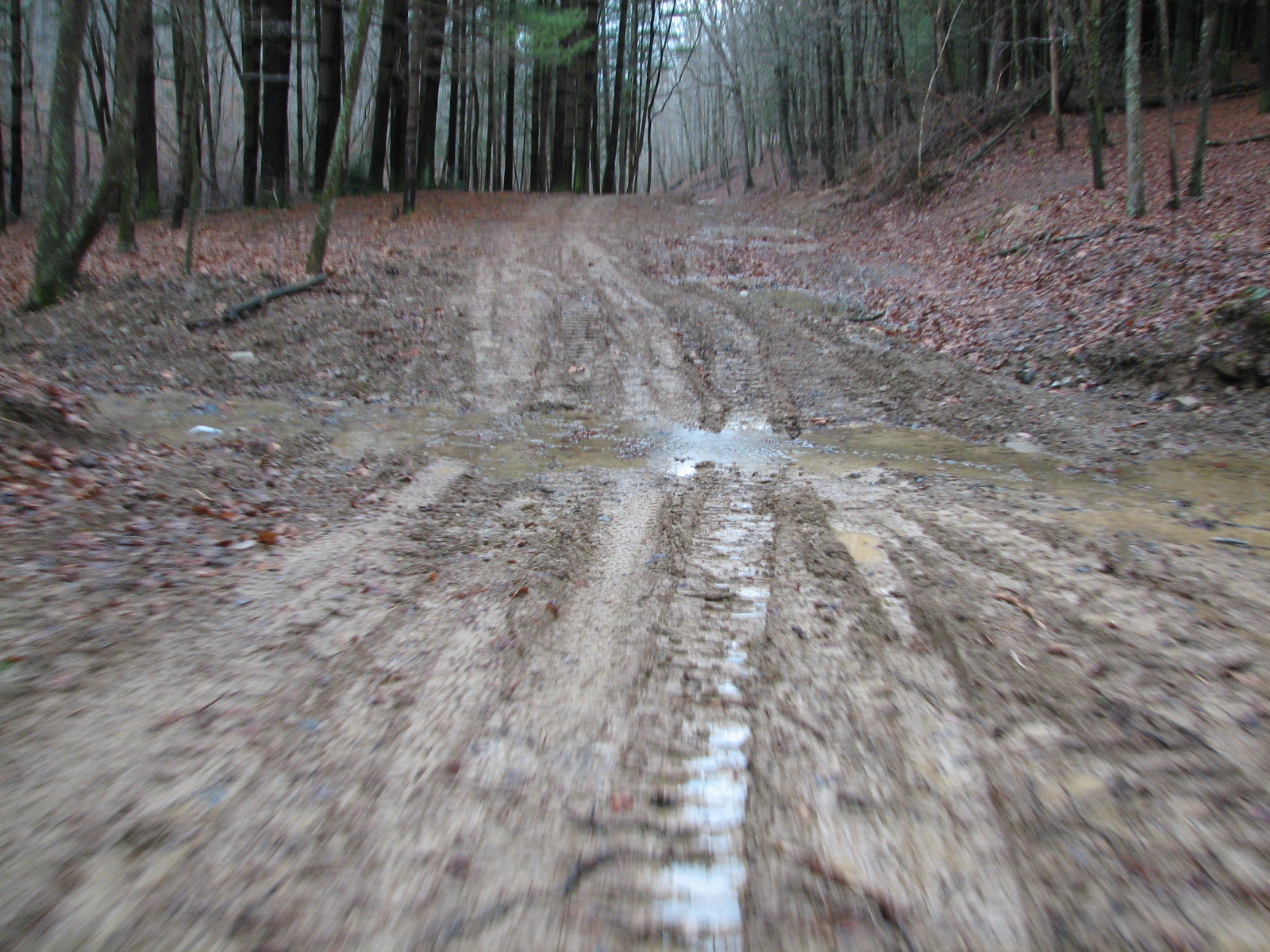 Combs Road – Proposed Re-Opening – Forest Service Response – For the ...