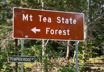 Mt Tea State Forest: Paving Pumpkin Ridge Rd. For the Record ...